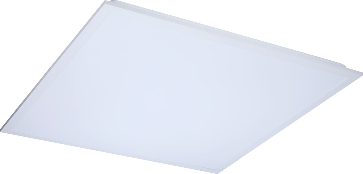 0044644 - Quantum IP54 600x600 DALI 4500lm 840 - Professional
